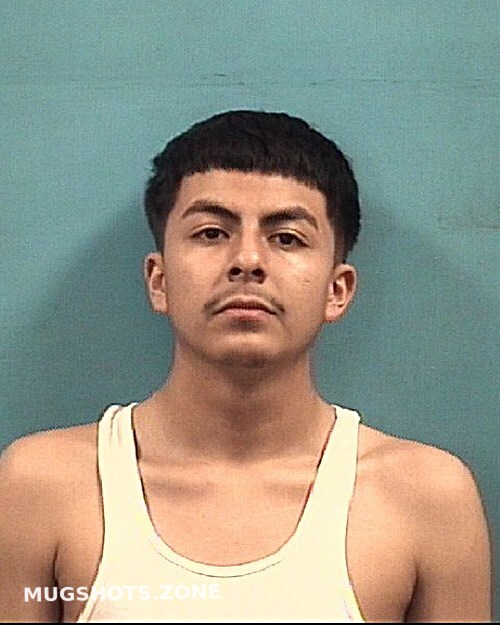 REYES CALEB JOSHUA 05/08/2025 - Brazoria County Mugshots Zone