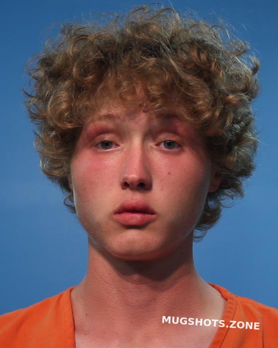 BROWN KAYLOR MICHAEL 06/02/2025 - Brazoria County Mugshots Zone