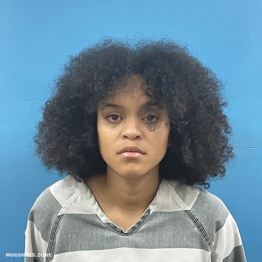 ANDRADE SAIDIE 11/15/2025 - Brazoria County Mugshots Zone