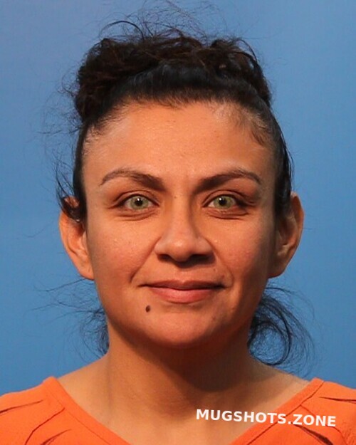 GOMEZ LYDIA MICHELLE 02/23/2026 - Brazoria County Mugshots Zone