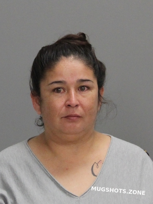 RAMIREZ RENEE 01/15/2021 - Brazos County Mugshots Zone