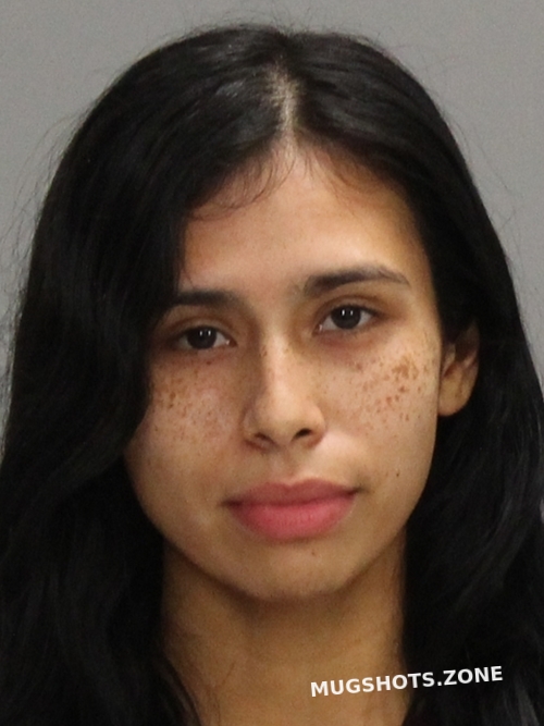 ARIAS ALYSSA MARIE 01/22/2021 - Brazos County Mugshots Zone