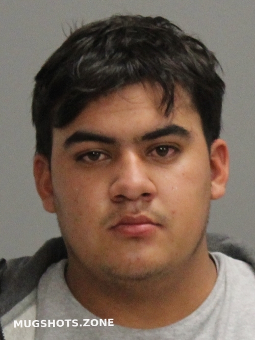 RODRIGUEZ JESUS ALBERTO 01/23/2021 - Brazos County Mugshots Zone