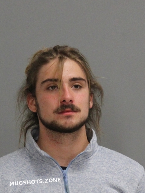 PROCA ANDREI DANIEL 01/29/2021 - Brazos County Mugshots Zone