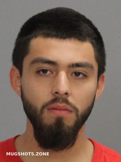 HENRY JOSHUA RAY 02/10/2021 - Brazos County Mugshots Zone