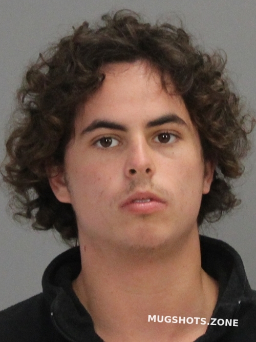 BOLANOS ALEX NICHOLAS 03/31/2021 - Brazos County Mugshots Zone