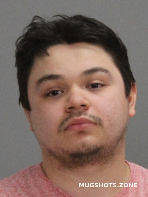 MEDINA DEVAN ALEXANDER 04/04/2021 - Brazos County Mugshots Zone