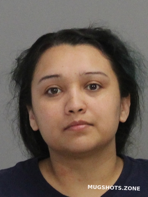 ZAMORA CASSANDRA RENEE 05/18/2021 - Brazos County Mugshots Zone