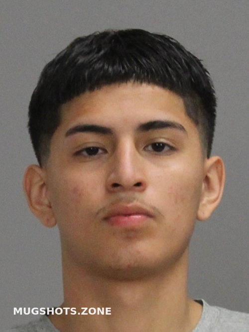 DELATORRE MICHAEL ANDREW 06/28/2021 - Brazos County Mugshots Zone