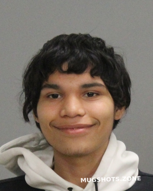 GONZALES JOSEPH ANDREW 02/09/2022 - Brazos County Mugshots Zone