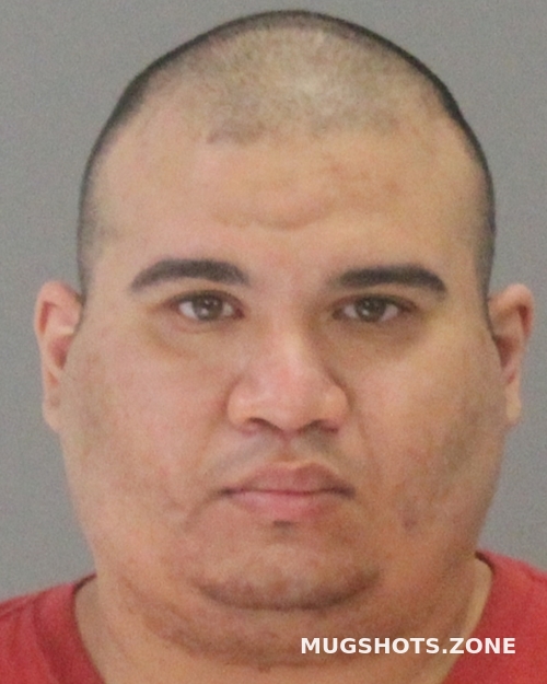 ROLON COLON EDGARDO 03/15/2022 - Brazos County Mugshots Zone