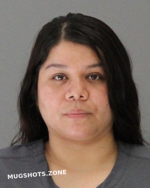 CASTANEDA MERCEDES ALEXIS 03/22/2022 - Brazos County Mugshots Zone