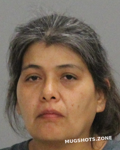 FLORES CRUZ CELIA 04/11/2022 - Brazos County Mugshots Zone