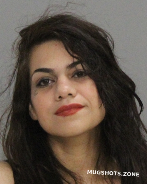 WILLSON ASHLEY NOEMI 05/01/2022 - Brazos County Mugshots Zone