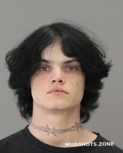 LEMKE ANDREW HUNT 05/16/2022 - Brazos County Mugshots Zone