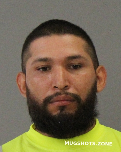VITELA MARTIN ANTHONY 06/09/2022 - Brazos County Mugshots Zone
