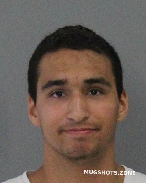 WOLF ROBERT CHRISTOPHER 06/11/2022 - Brazos County Mugshots Zone