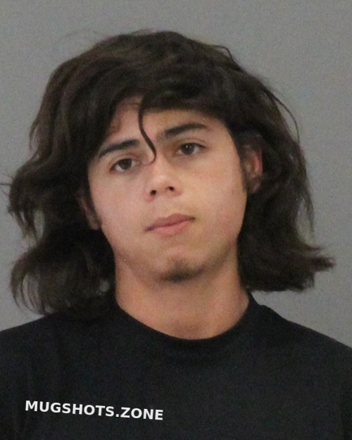 ROMO DYLAN GEORGE 07/30/2022 - Brazos County Mugshots Zone