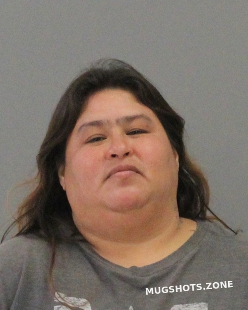 PRADO CRYSTAL DAVIS 09/02/2022 - Brazos County Mugshots Zone