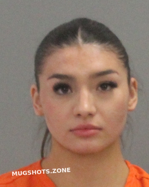 ANZALDUAR GIANNA ALYSSA 10/01/2022 - Brazos County Mugshots Zone