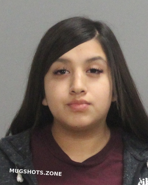 Sanchez Brianna Brooke 10 04 2022 Brazos County Mugshots Zone