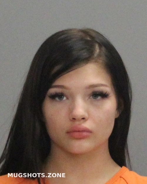 LEE HANNAH RAE 10/15/2022 - Brazos County Mugshots Zone