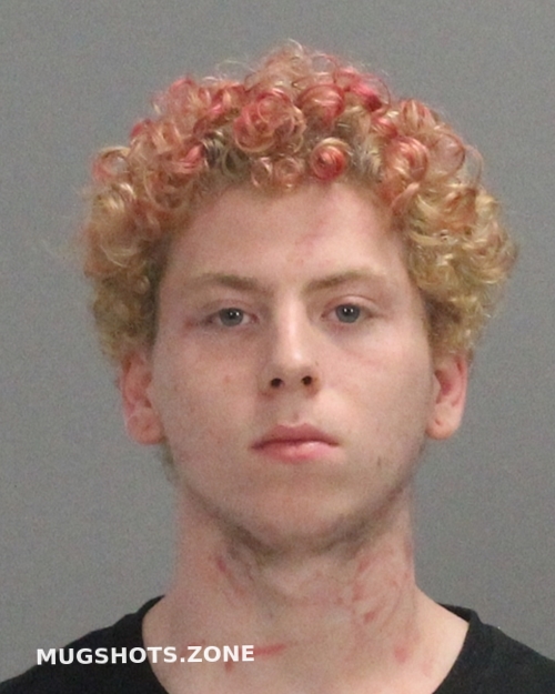 WEBSTER TRAVEN MATTHEW 10/24/2022 - Brazos County Mugshots Zone