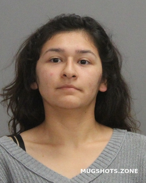 REYES KATINA MIRANDA LOY 11/03/2022 - Brazos County Mugshots Zone