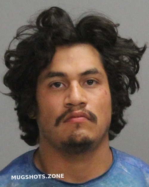 TORRES JESUS MANUEL 11/18/2022 - Brazos County Mugshots Zone
