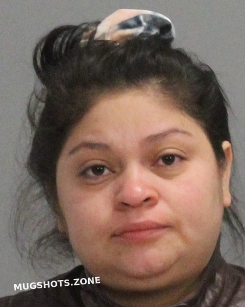 AGUILAR-GARCIA SADY ERCEL 11/28/2022 - Brazos County Mugshots Zone