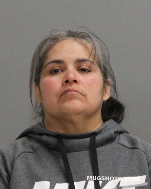 FONSECA ELIZABETH MENDOZA 12/22/2022 - Brazos County Mugshots Zone