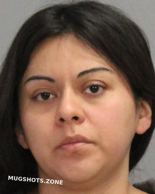 GONZALEZ GLORIA EDITH 12/29/2022 - Brazos County Mugshots Zone
