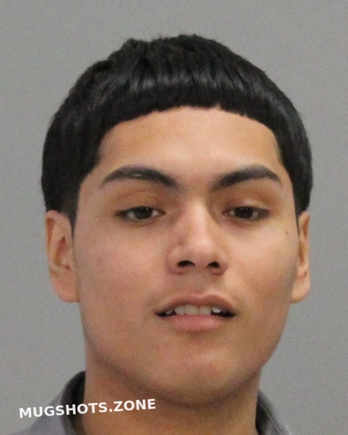 PUGA PEDRO DAMION 01/13/2023 - Brazos County Mugshots Zone