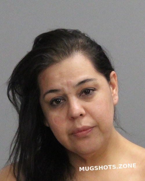 PEREZ ERICA ELAIN 01/14/2023 - Brazos County Mugshots Zone