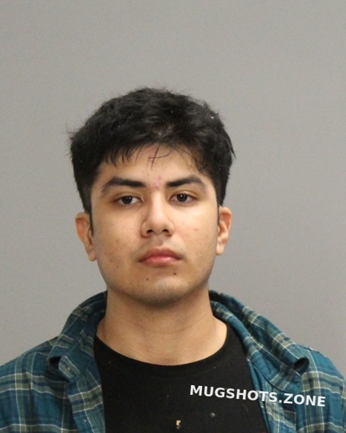 FERNANDEZ JOHAN 02/08/2023 - Brazos County Mugshots Zone