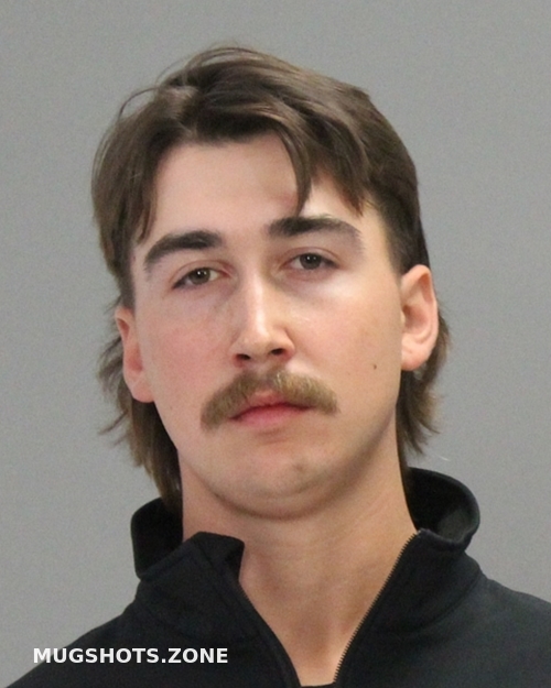 HENLEY COLLIN LANE 02/19/2023 - Brazos County Mugshots Zone