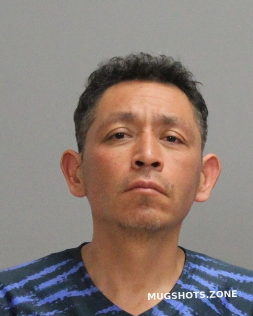 DELGADO FERNANDO BASABE 03/05/2023 - Brazos County Mugshots Zone