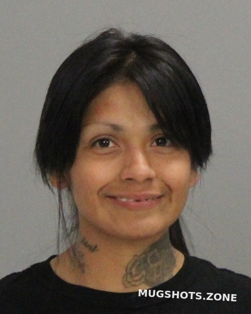 ARROYO IRIS 03/17/2023 - Brazos County Mugshots Zone