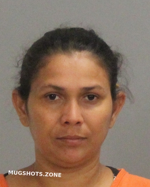 ODINA MARIA 03/23/2023 - Brazos County Mugshots Zone