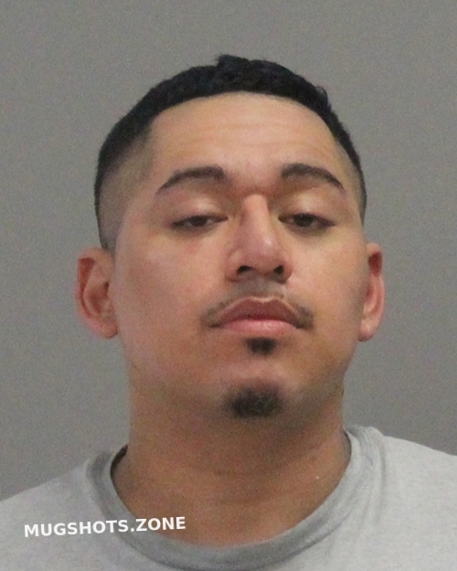 RICO GAVINO 03/24/2023 - Brazos County Mugshots Zone