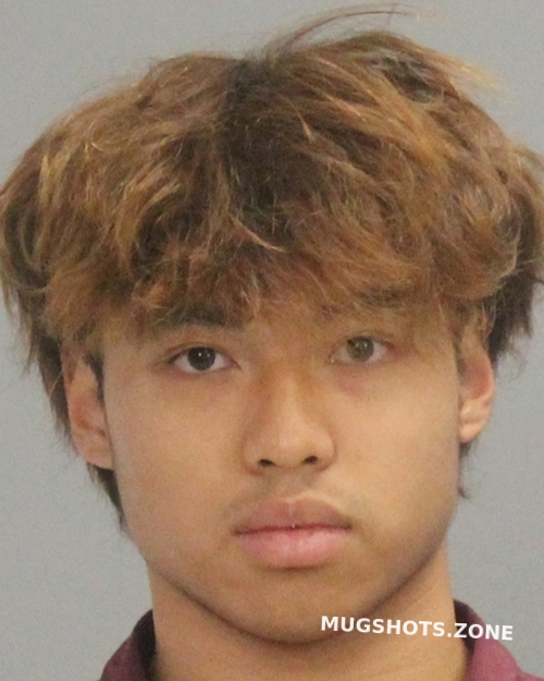 VU KENNY HOANG 03/29/2023 - Brazos County Mugshots Zone