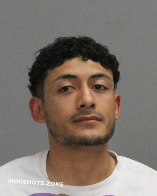 MICHILENA JIMMY JR 04/09/2023 - Brazos County Mugshots Zone