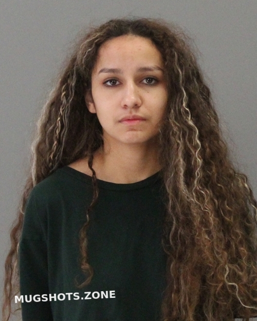CAVAZOS EMILY AMARIS 04/11/2023 - Brazos County Mugshots Zone