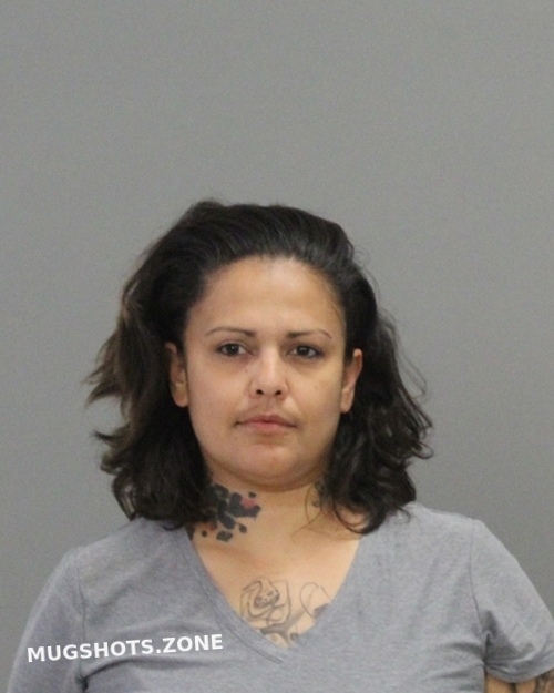 RAMIREZ BECKY ANN 05/11/2023 - Brazos County Mugshots Zone