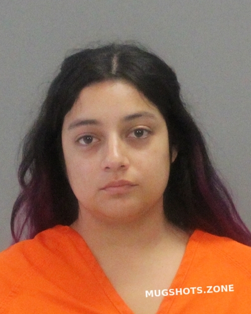 AYALA DANIELA AIMEE 05/19/2023 - Brazos County Mugshots Zone