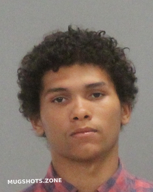 HALLFORD JAYSON IRA 05/31/2023 - Brazos County Mugshots Zone