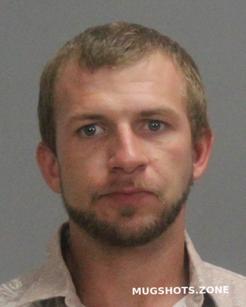 ALEXANDER DILLON LEE 06/01/2023 - Brazos County Mugshots Zone