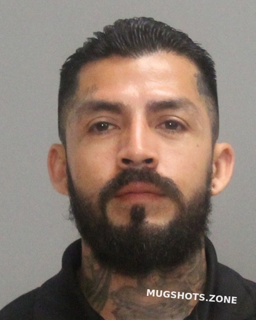 OCAMPO FERNANDO 06/12/2023 - Brazos County Mugshots Zone