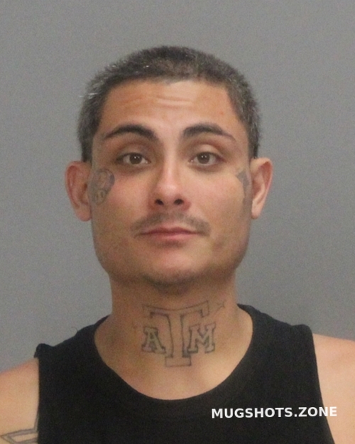 POINTER ERIC JAMES MICHAEL 06/25/2023 - Brazos County Mugshots Zone