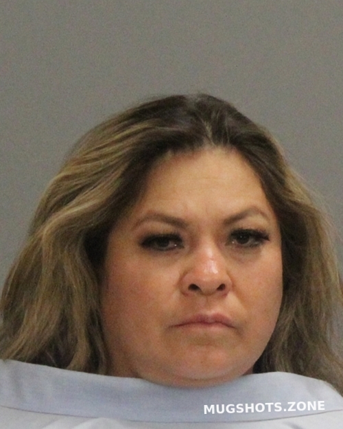 FERNANDEZ ELVIRA 08/04/2023 - Brazos County Mugshots Zone